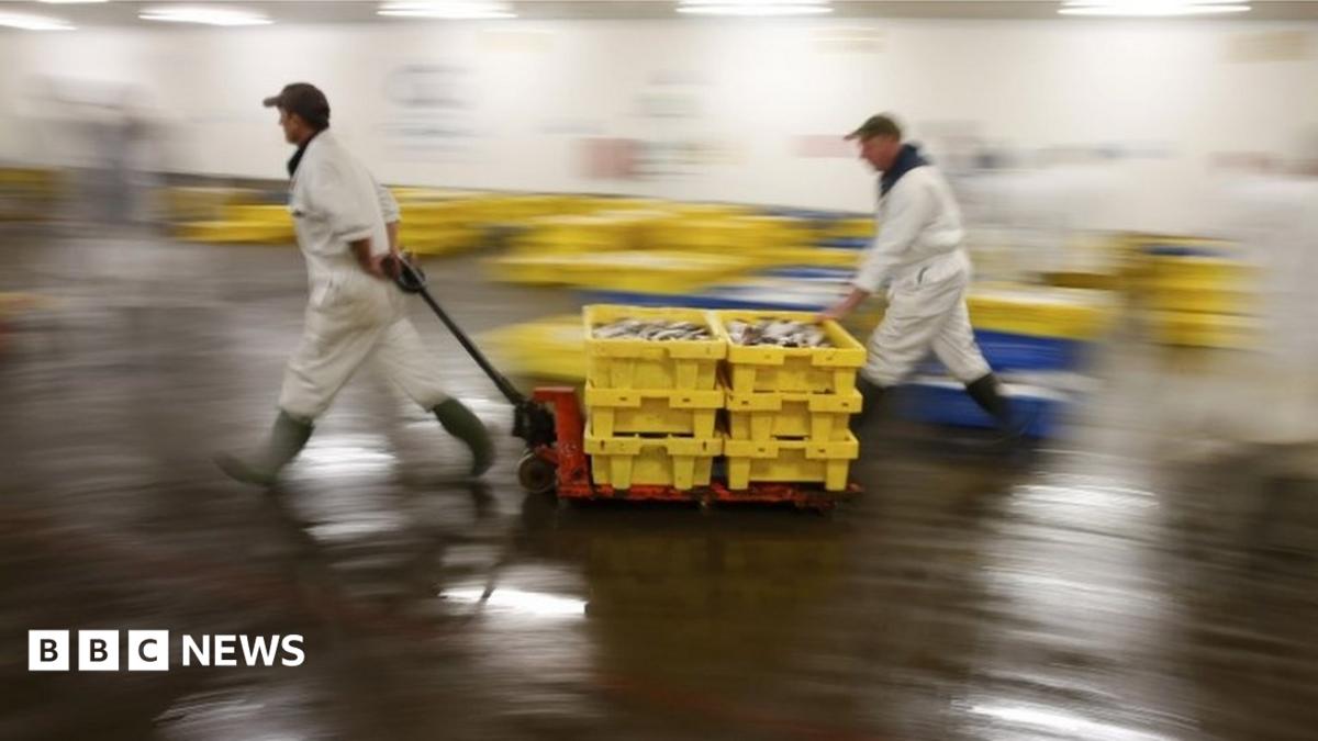UK fishing quota increases agreed at EU negotiations - BBC News