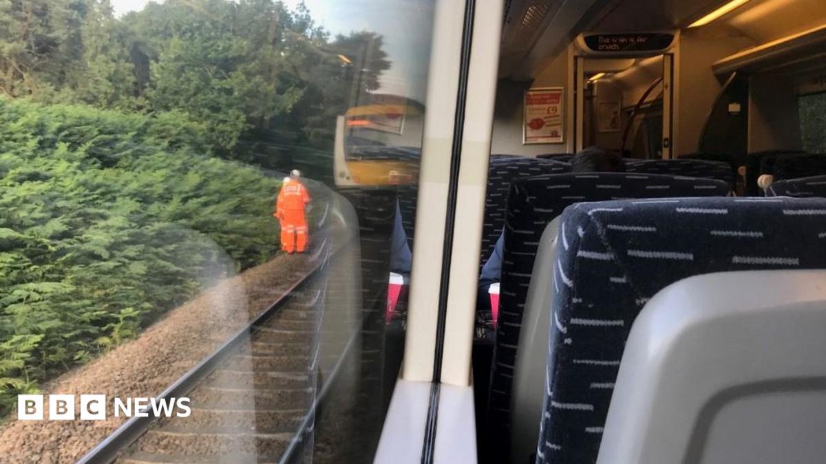 Passengers rescued at Thetford as train hits deer - BBC News