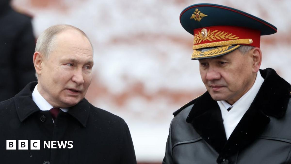 Vladimir Putin removes Sergei Shoigu from Russian defence ministry - BBC News