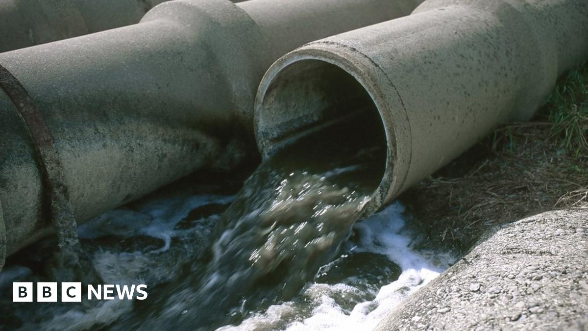 Water pollution causing ‘death by a thousand cuts’ for rivers - BBC News