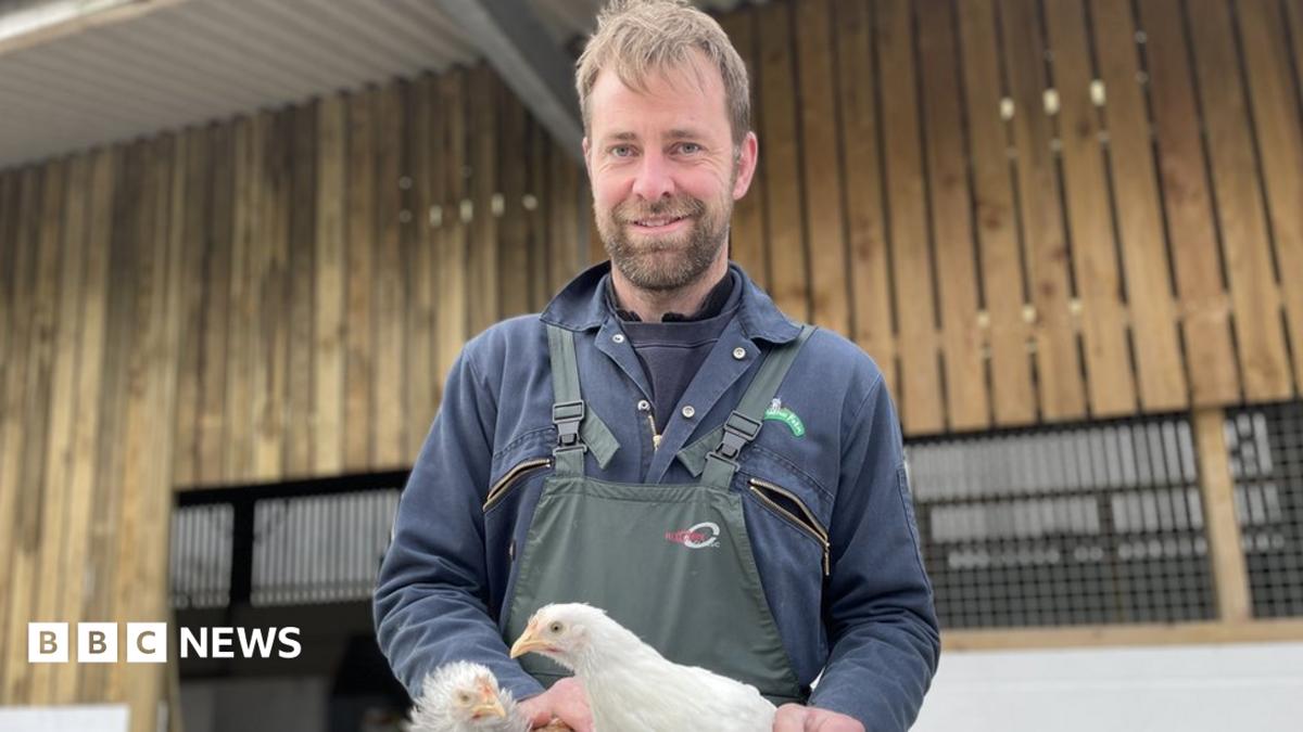 Bird flu: Poultry farm to keep birds inside despite end of order - BBC News