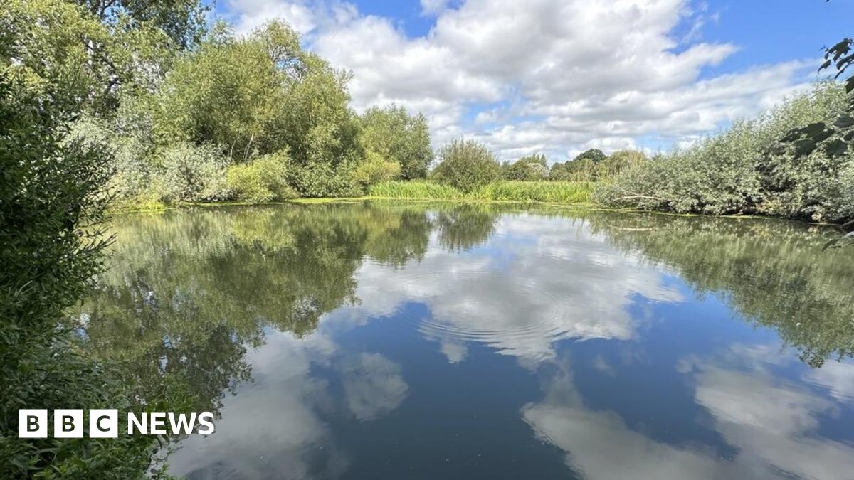 Jorge Martin Carreno murder case: CCTV 'showed murder accused searching ...