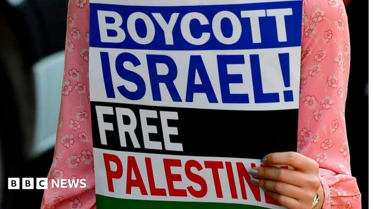 Michigan professor embroiled in Israel boycott row - BBC News