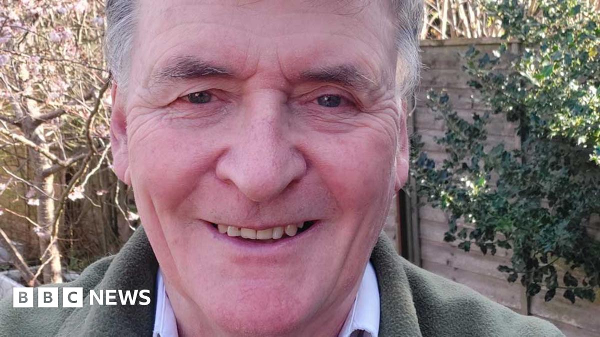 Cambridge elm tree revival plan funded by rotary club - BBC News