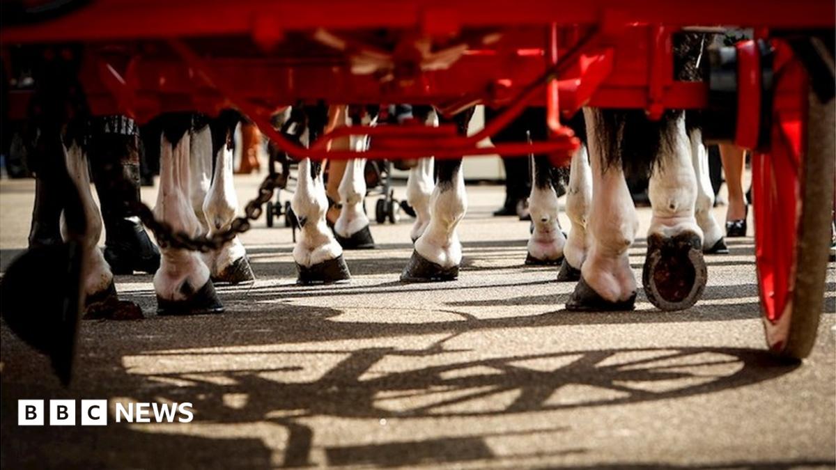 Royal Mail marks 500 years with coach parade in Cardiff - BBC News