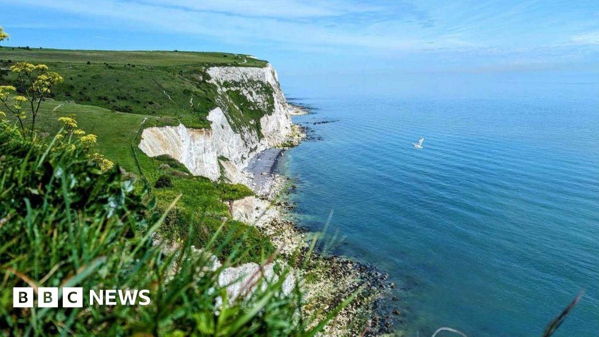 Our favourite images of the week from Kent - BBC News