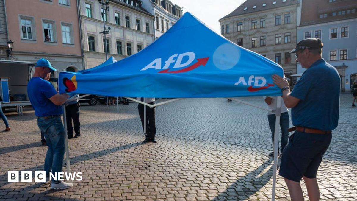 Germany's far-right AfD wins first city mayor election - BBC News