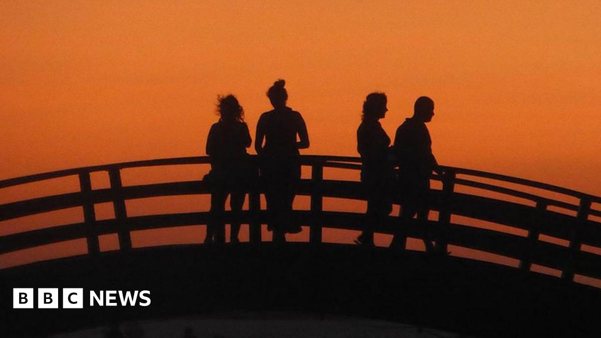 Your pictures on the theme of 'bridges' - BBC News