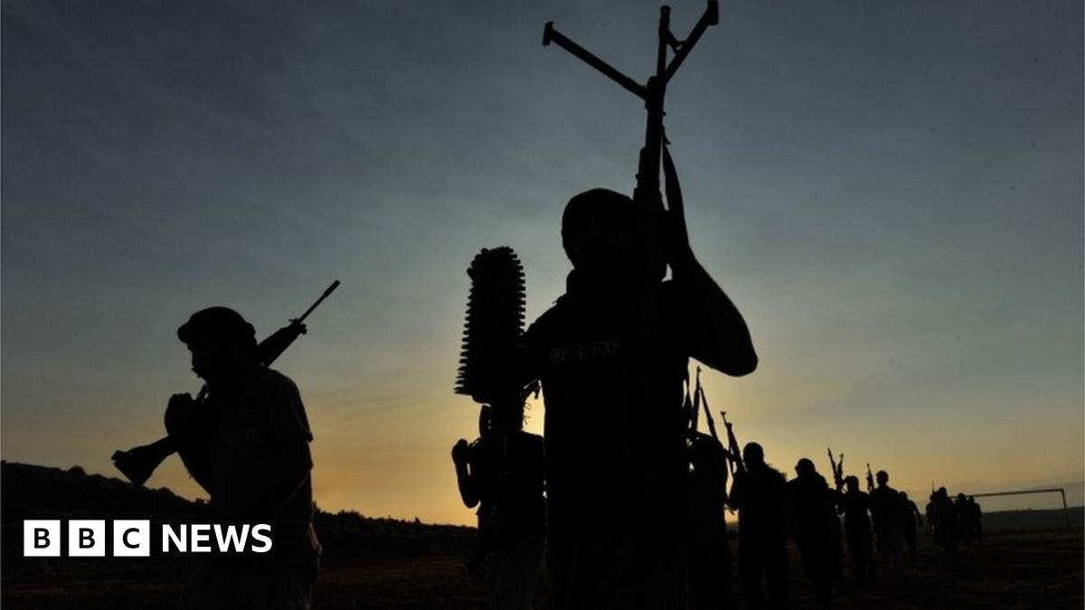 Australian Adam Brookman in court on return from Syria - BBC News