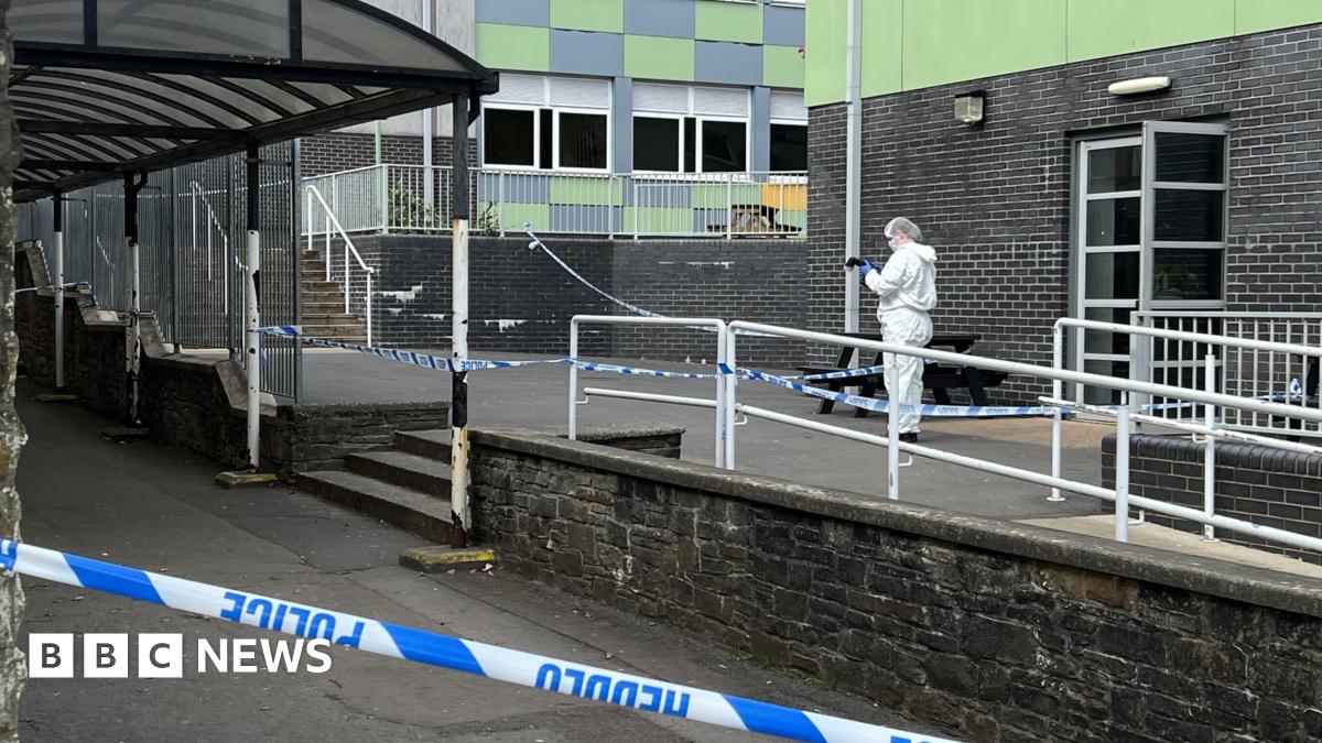 Girl arrested on suspicion of attempted murder after teachers and pupil ...