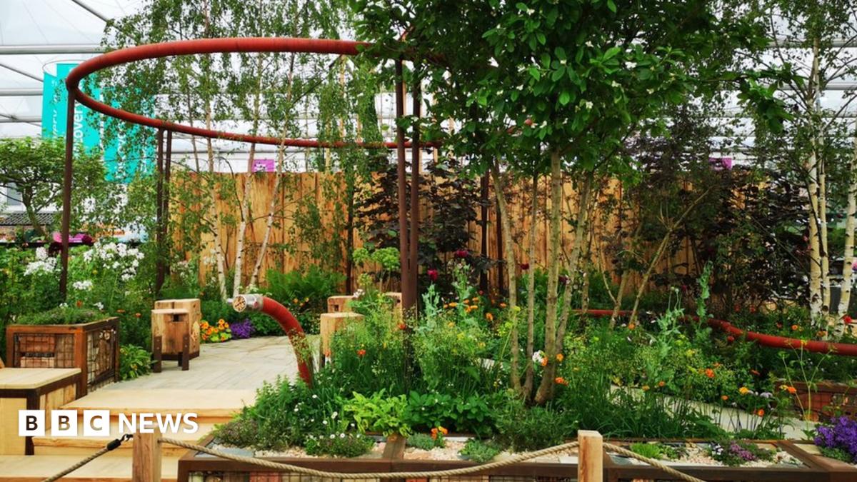 Group wins silver-gilt medal at Chelsea Flower Show - BBC News