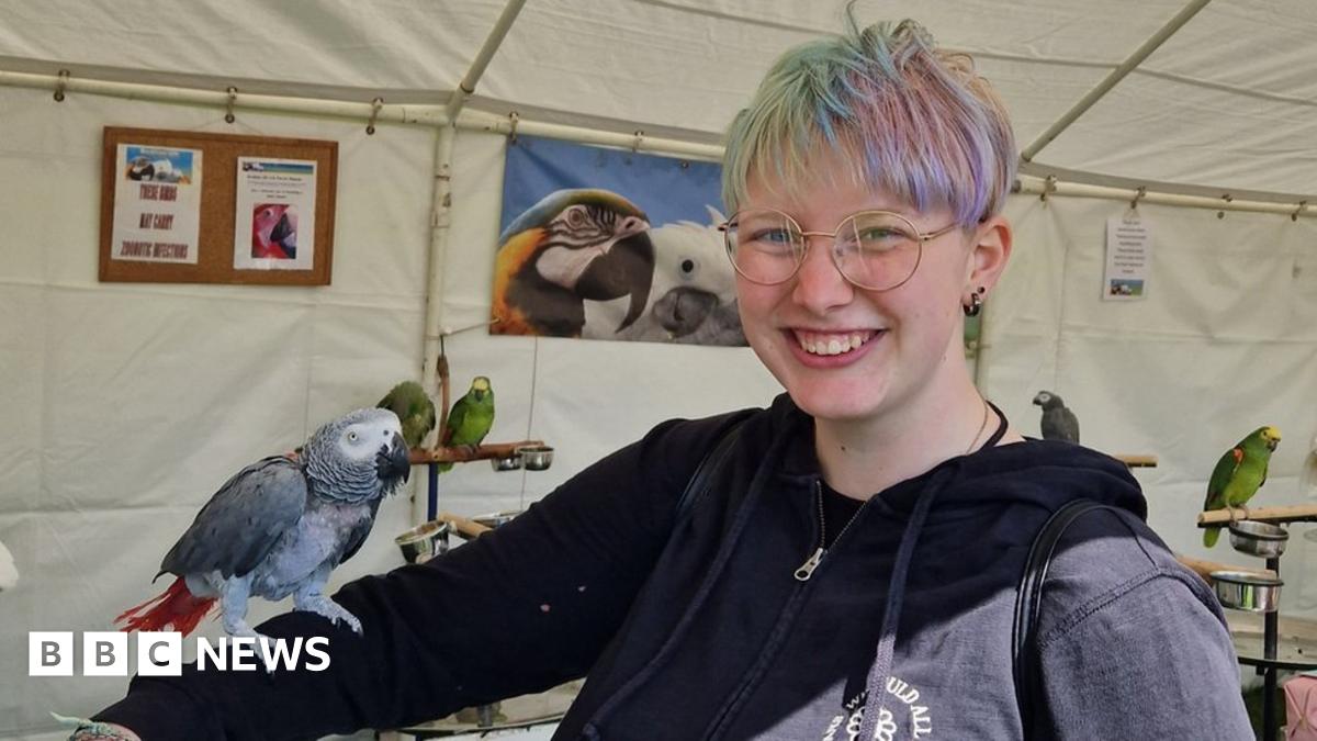 Somerset parents worried by savings in SEND transport - BBC News