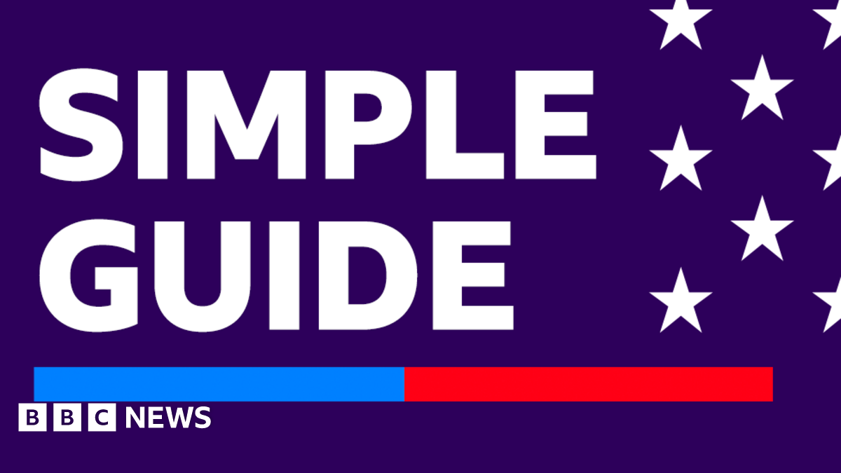 A really simple guide to the presidential vote - BBC News