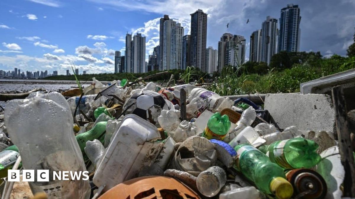 Plastic-eating bacteria can help waste self-destruct - BBC News