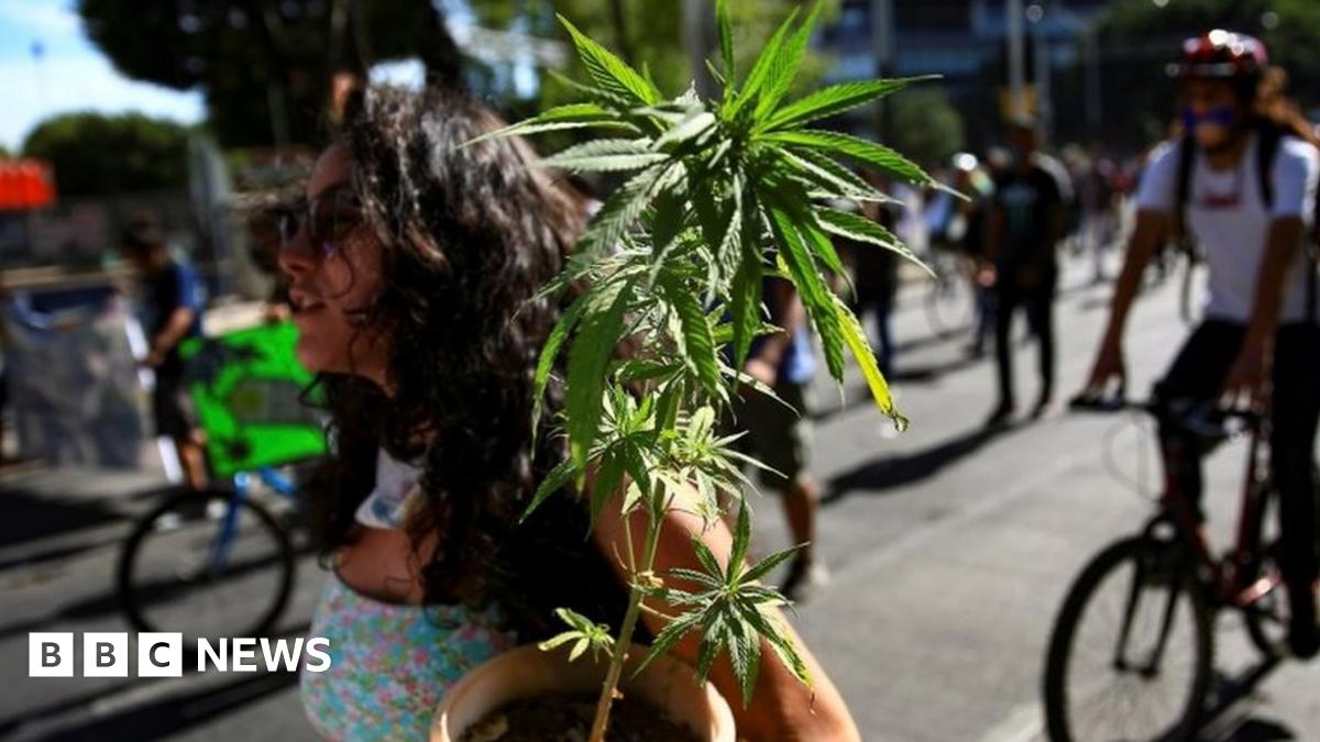 Mexico marijuana: Lower house passes recreational cannabis bill - BBC News