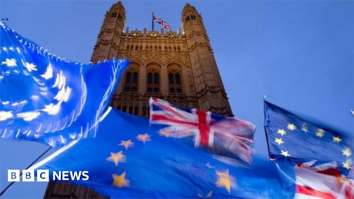 News Daily: PM's Brexit push and Harry Dunn suspect questioned - BBC News