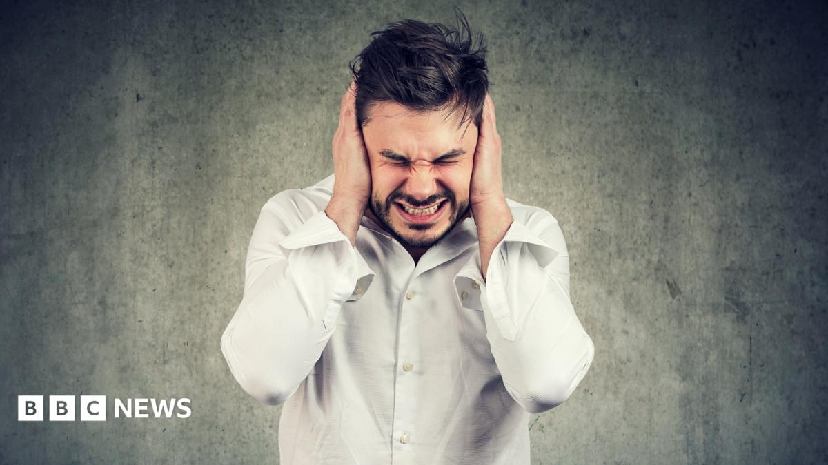 Gadgets can be hacked to produce 'dangerous' sounds, says researcher ...