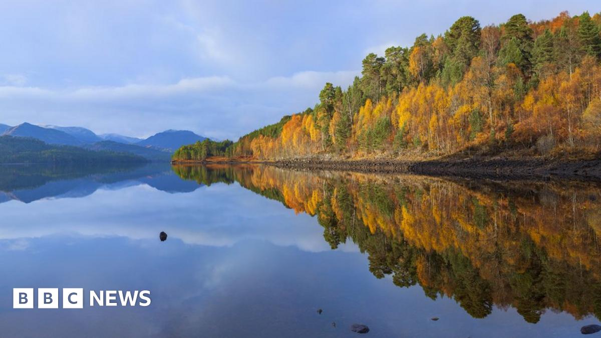 Rewilding project for 500,000 acres of Highlands - BBC News