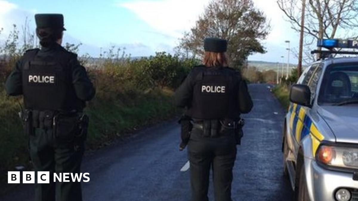 Drumsurn: Controlled explosion on viable device - BBC News