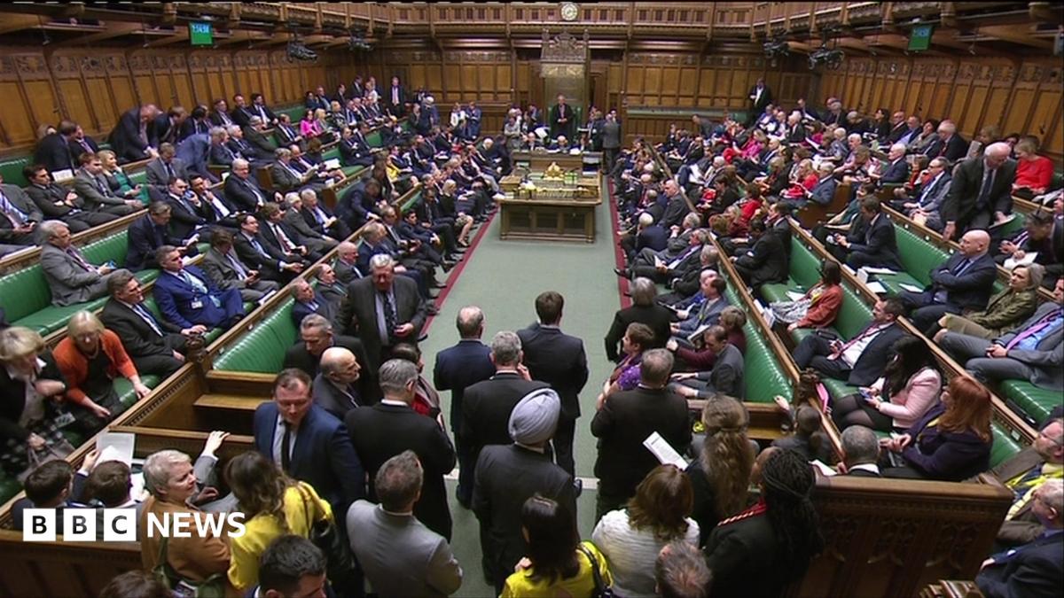 MPs back government's Brexit strategy - BBC News