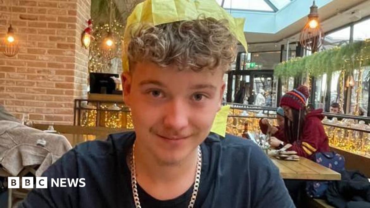 Harry Chapman: Sister's bid for safer road after brother killed - BBC News