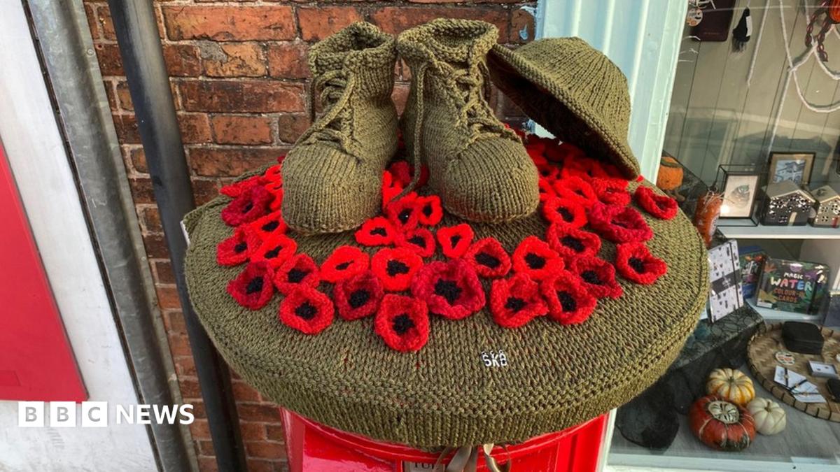 Syston Knitting Banxy leaves Remembrance Day tribute - BBC News