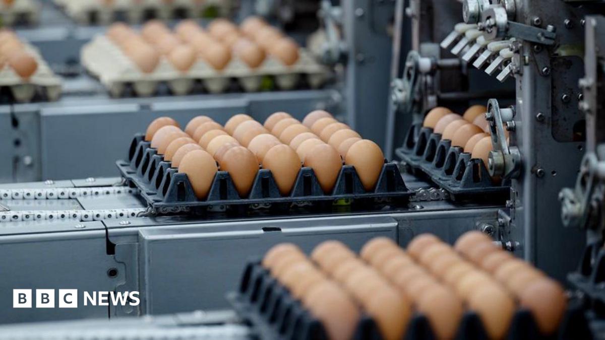 Second bird flu outbreak hits major Scottish egg producer - BBC News