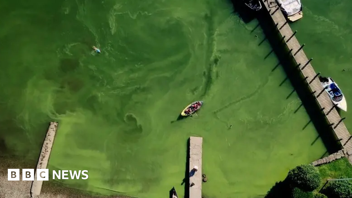 Windermere campaign encourages connection to main sewage network - BBC News