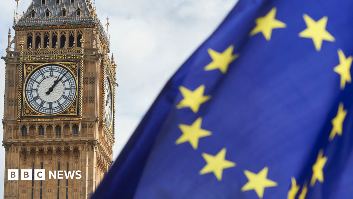 Brexit: What are indicative votes? - BBC News