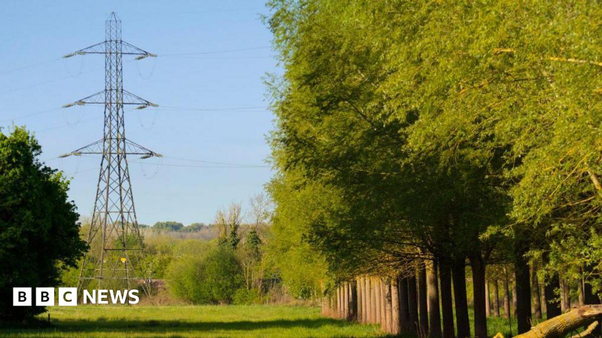 Ofgem withdraws support for Cotswold pylon removal scheme - BBC News