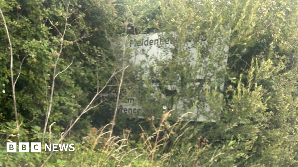 Windsor and Maidenhead obscured road signs 'worst' in region - BBC News