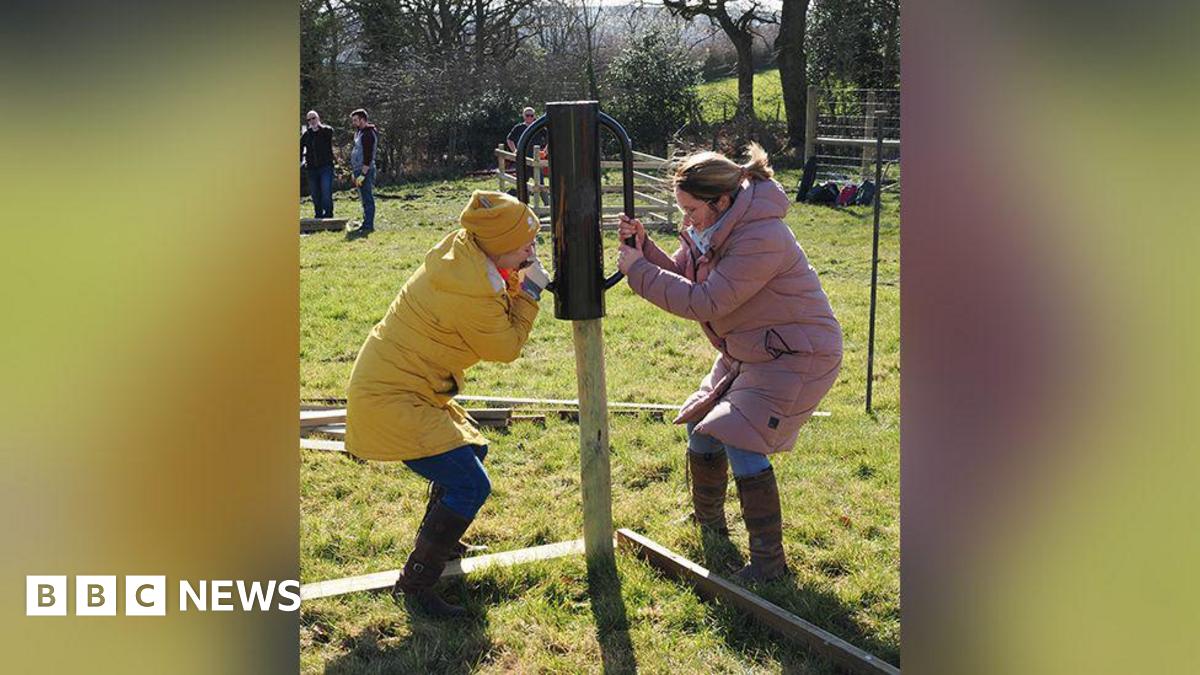 Ten million trees planted in Northern Forest project - BBC News
