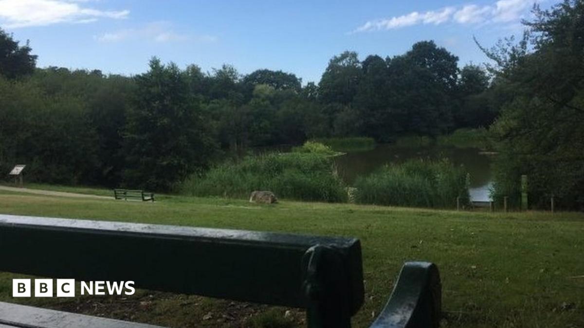 Wrexham: Olympic peace torch statue proposed at park - BBC News