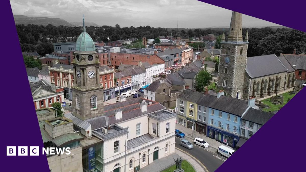 General election 2024: Lagan Valley constituency profile - BBC News