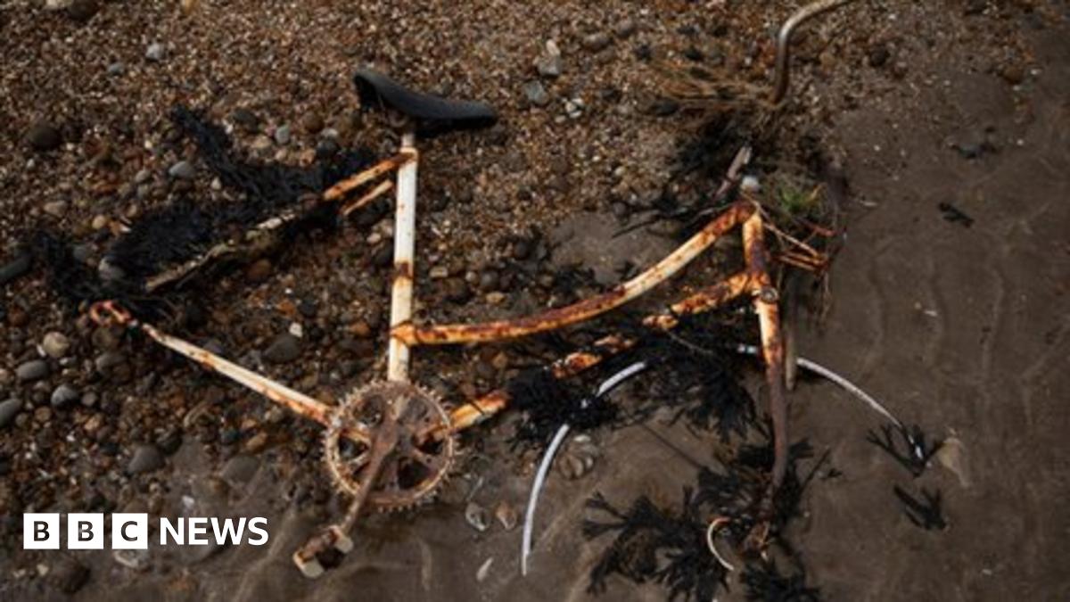 Nature loss: Watchdog highlights 'precarious state' of environment ...