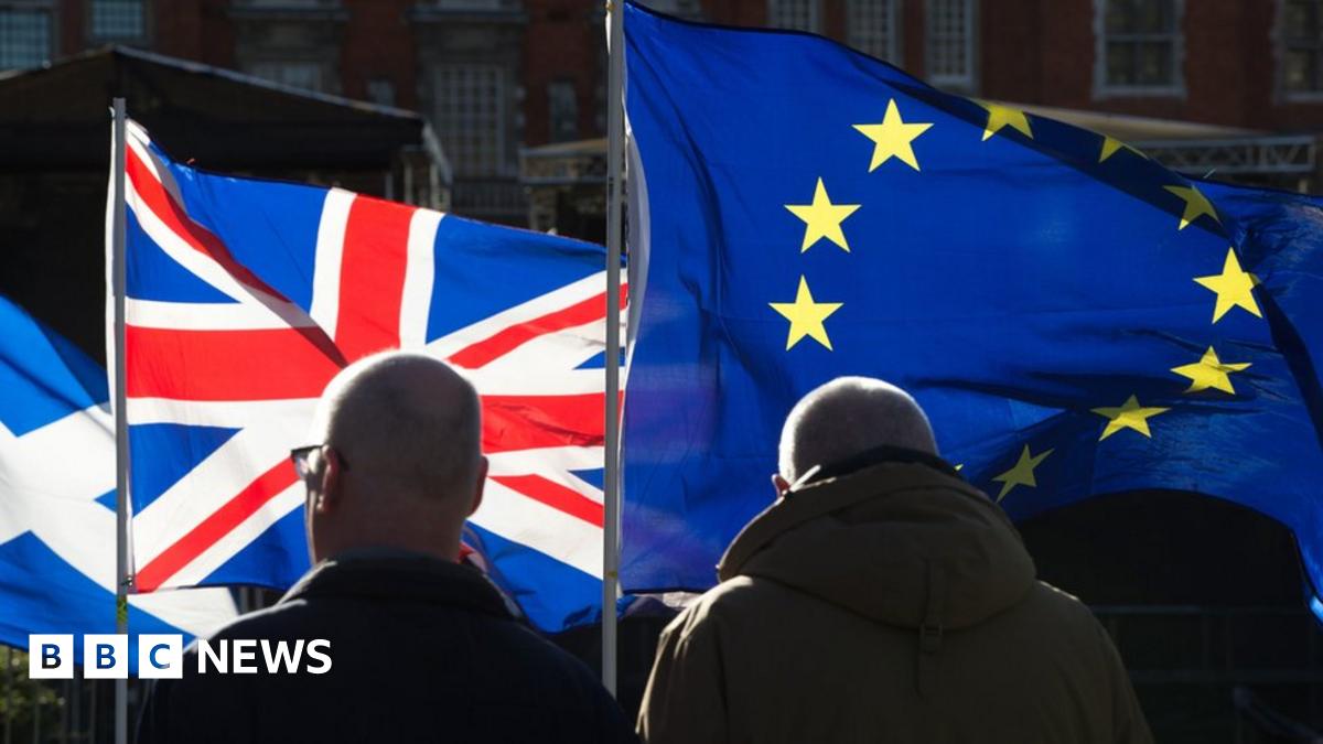 Brexit: What just happened and what happens next? - BBC News