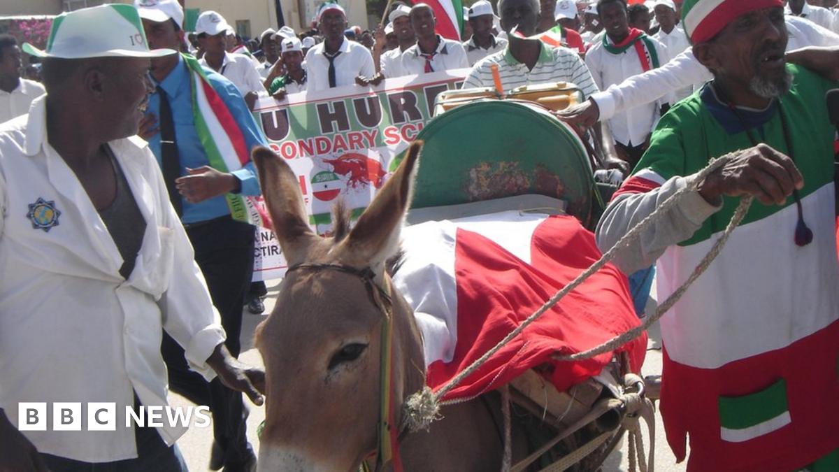 Somaliland: Making a success of 'independence' - BBC News