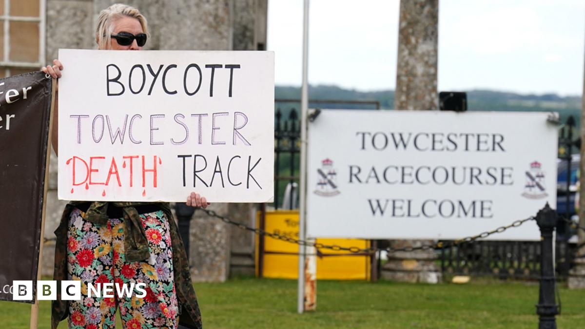 Animal rights activists try to disrupt Towcester greyhound race - BBC News