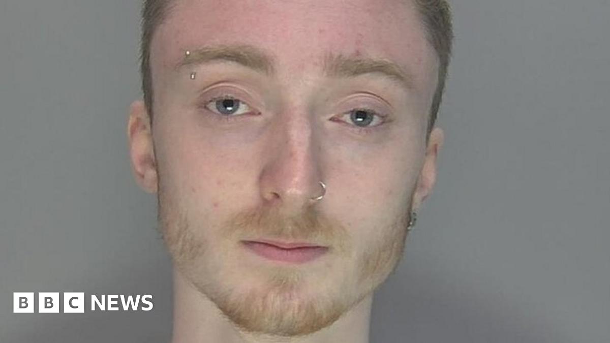 Letchworth arsonist jailed for killing rabbit - BBC News