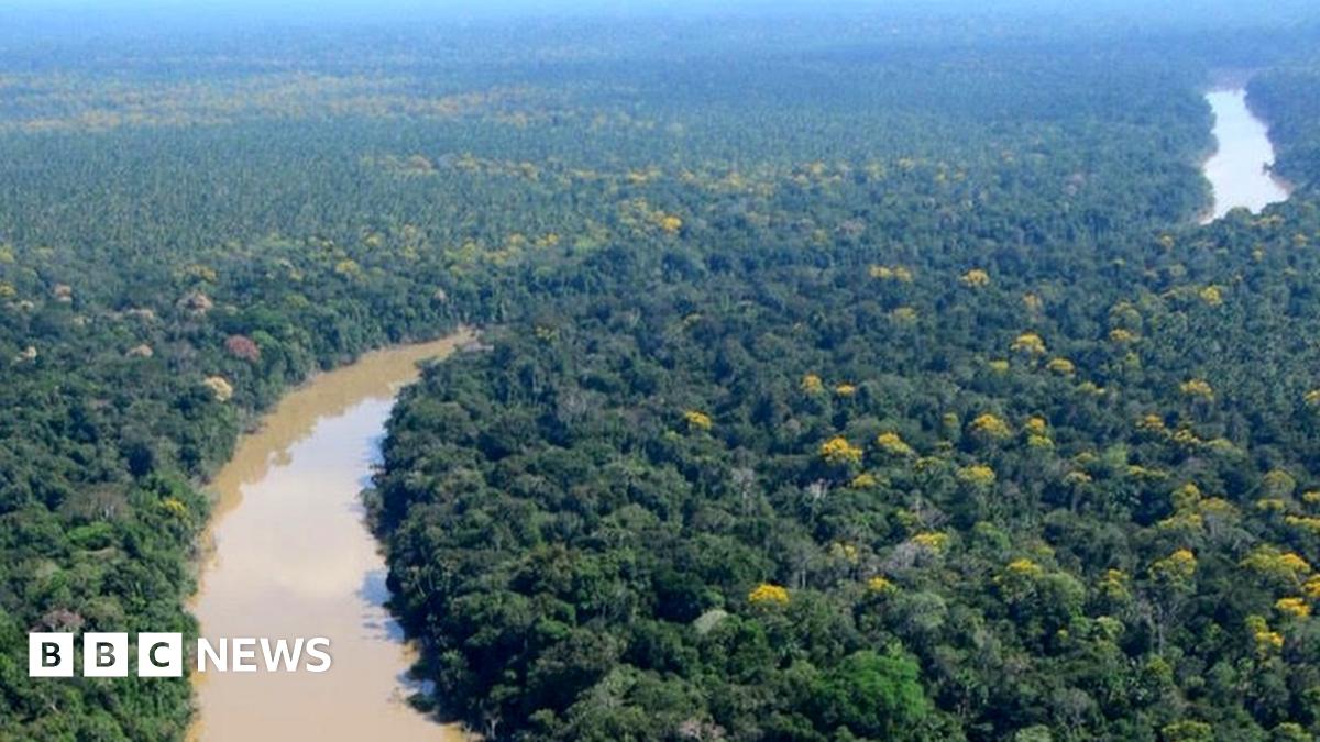 Amazon-dwellers lived sustainably for 5,000 years - BBC News