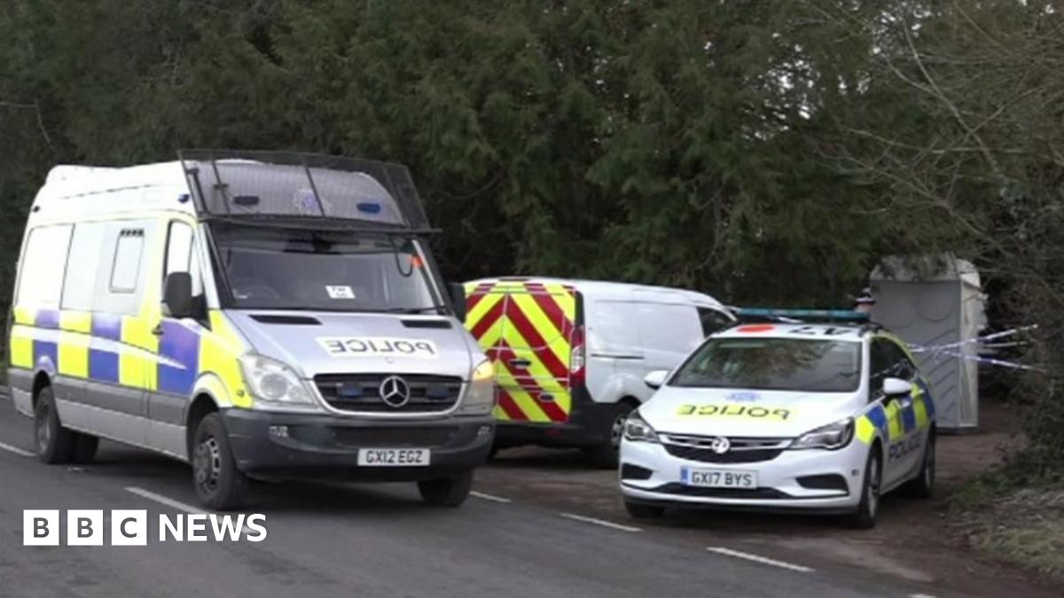 Henfield: Attempted murder arrest after two men badly hurt - BBC News