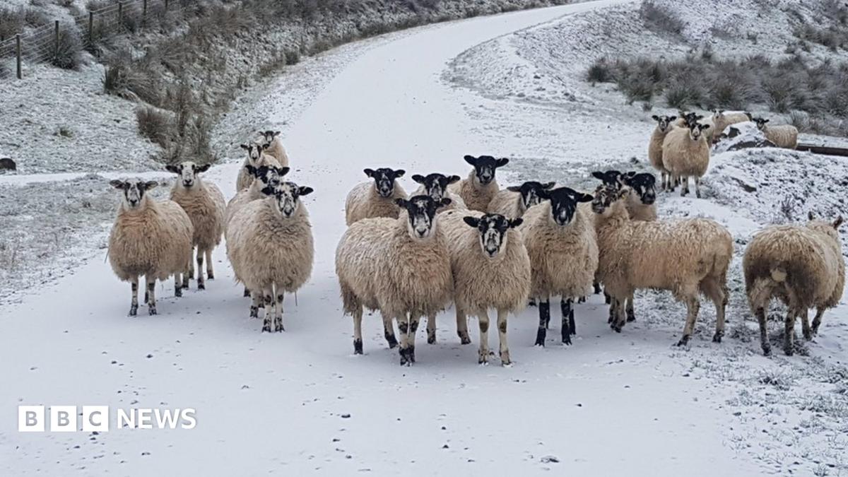 Snow and freezing fog sweep across Scotland - BBC News