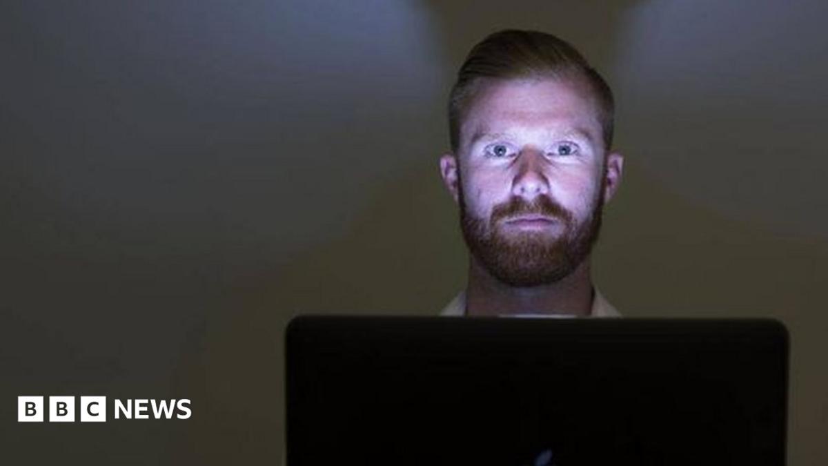 Home working increases cyber-security fears - BBC News