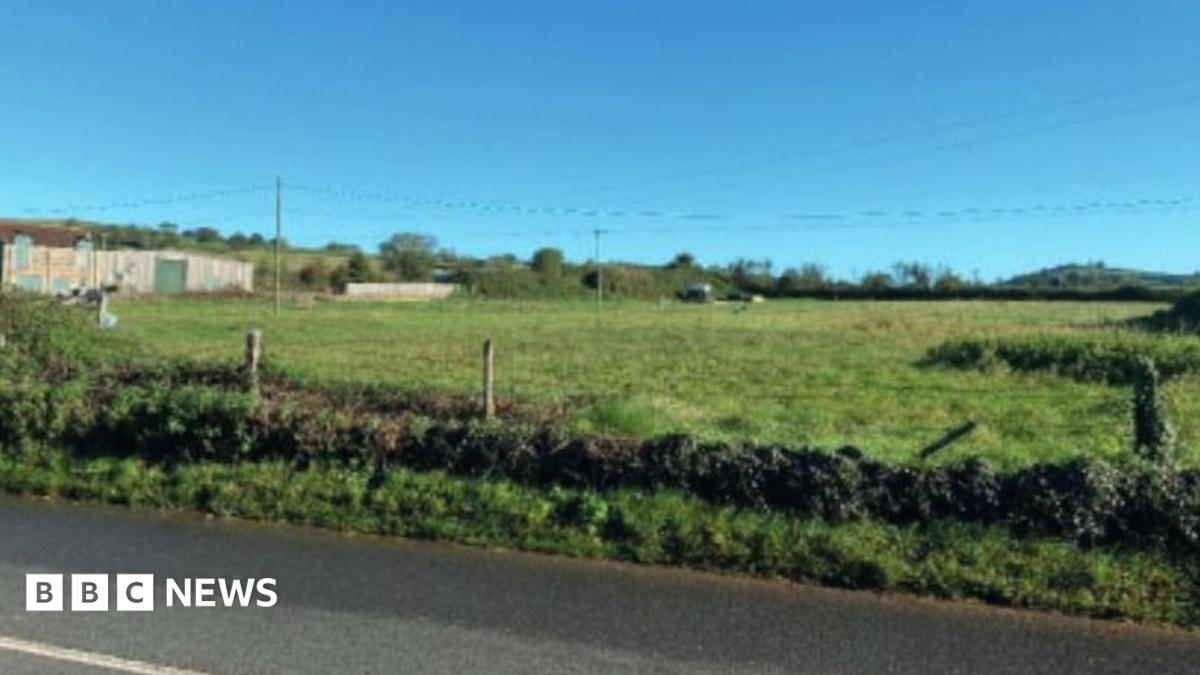 Evercreech homes plan scrapped by developer - BBC News