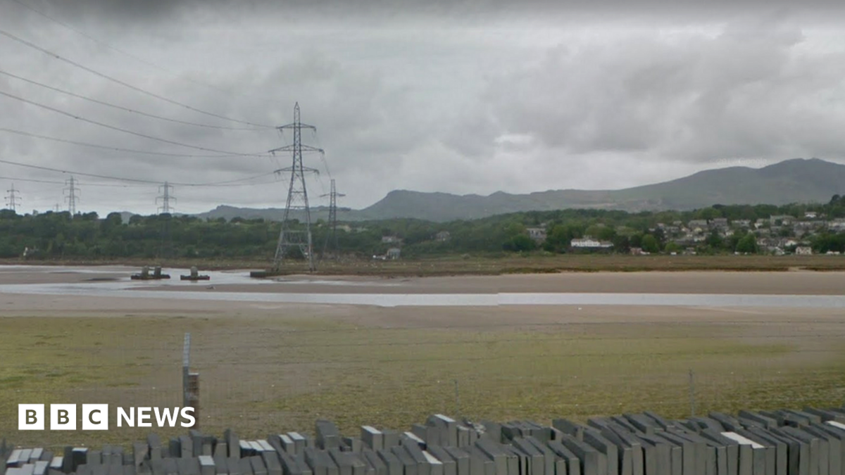 Dwyryd estuary pylon removal project moves forward - BBC News