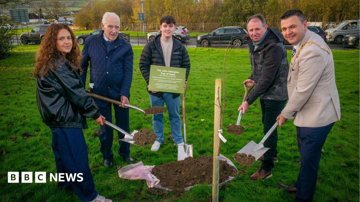 Strabane: Sycamore Gap sapling planted to honour John Gallagher - BBC News