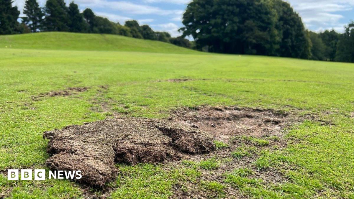 Motorbike vandals cause £10,000 damage to Dundee golf course - BBC News