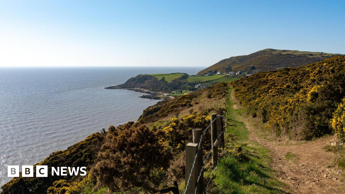 Solway coastline secures major restoration boost - BBC News