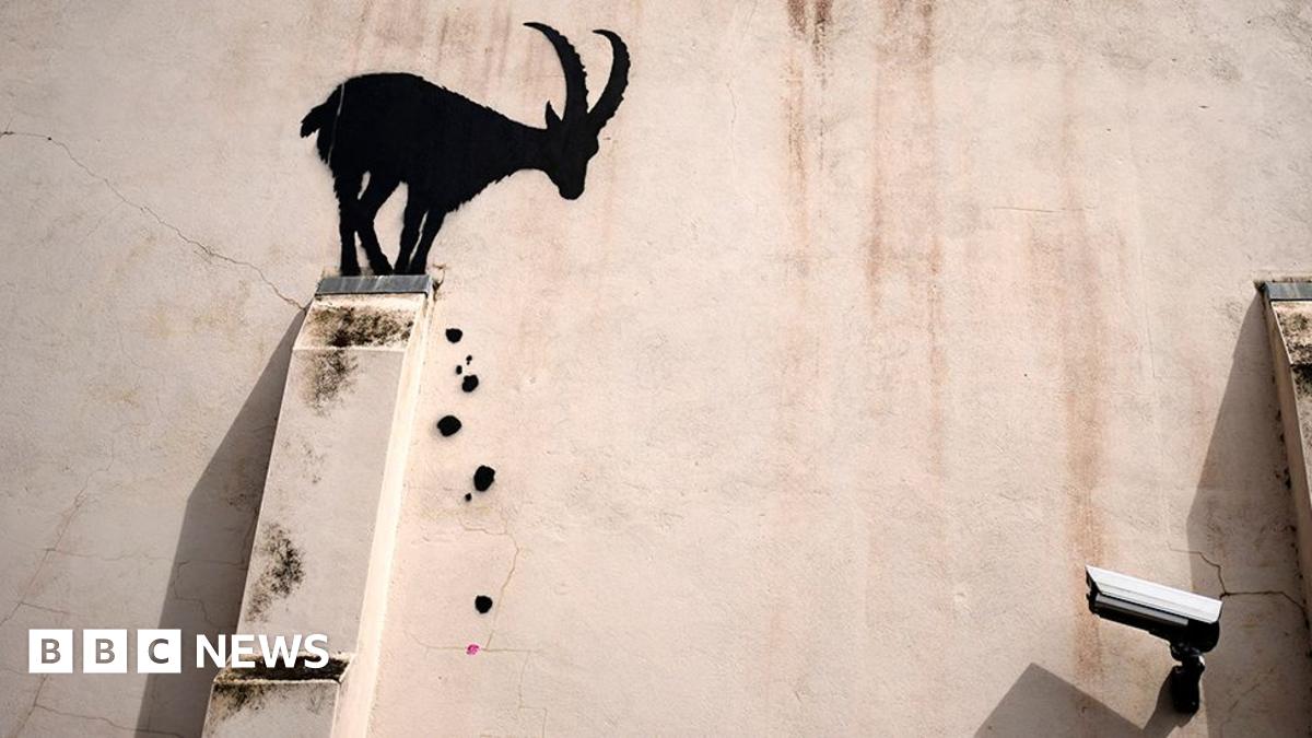 Banksy goat artwork appears on west London building - BBC News