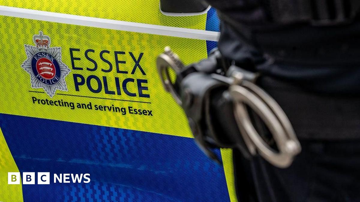 Halstead stolen dogs inquiry leads to man's arrest - BBC News